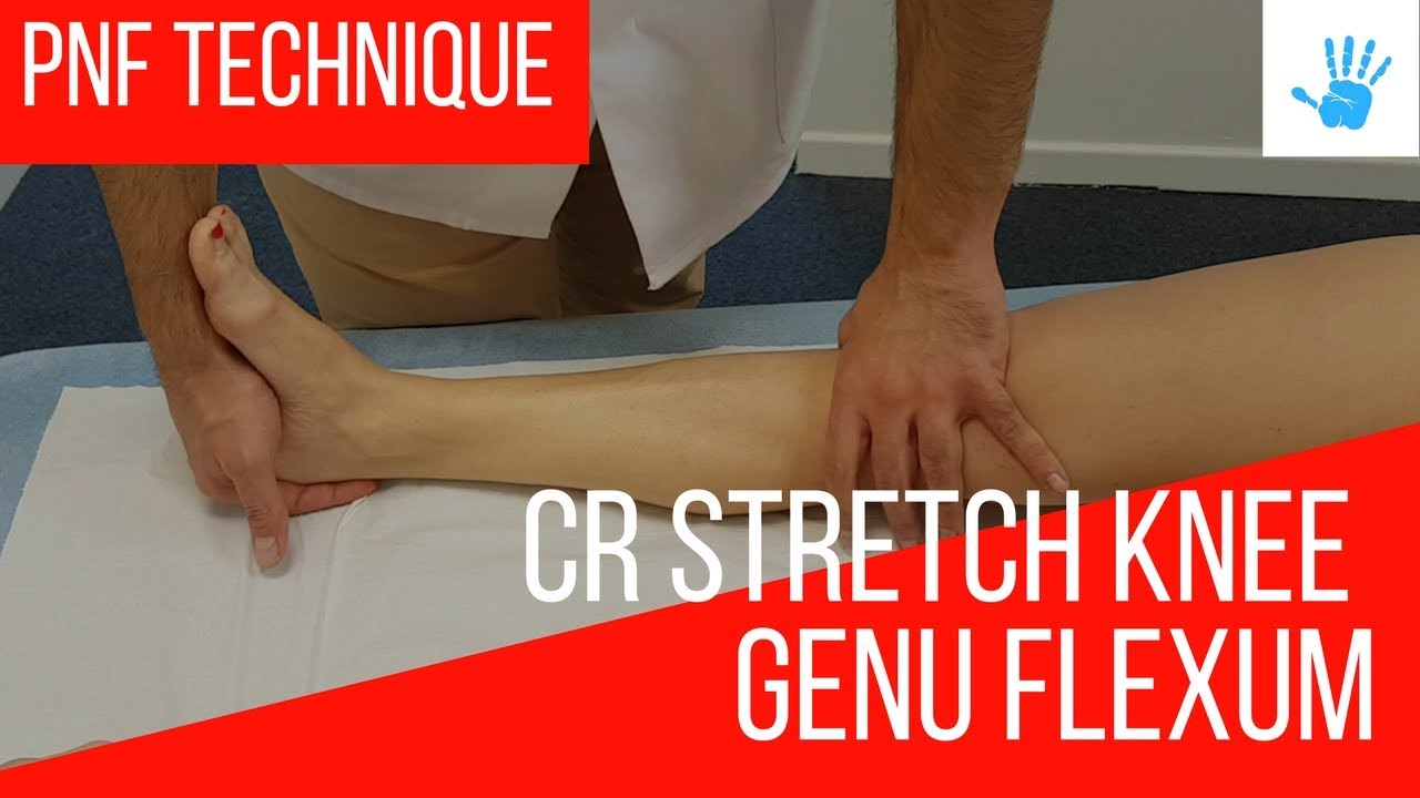 PNF TECHNIQUE - CONTRACT RELAX STRETCH GENU FLEXUM (US-FR) - YouTube