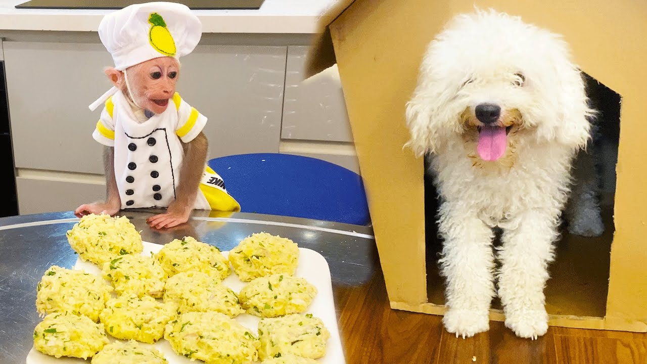 Bibi shows off his cooking skills Chicken Breast Fries to help hungry ...