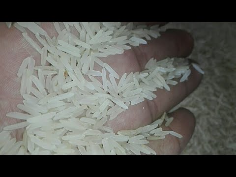 RICE SELA ECONOMY PAK 25kg WHOLESALE PRICE IN PAKISTAN 2024!INCREASES ...