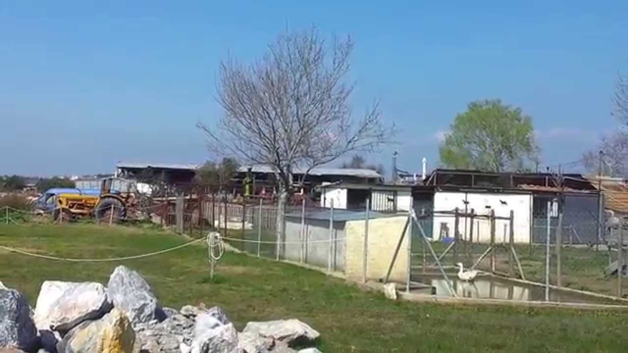 ΛΙΜΝΟΘΑΛΑΣΣΑ ΑΓΓΕΛΟΧΩΡΙΟΥ ΚΑΙ ΚΤΗΜΑ ΤΩΝ ΑΛΟΓΩΝ Ν.ΜΗΧΑΝΙΩΝΑ 15/03/2015 ...