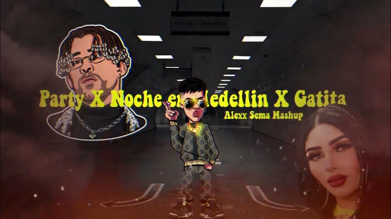 Party X Noche en Medellín X Gatita - Alexx Sema Mashup DL EN DESCRIPCIÓN - YouTube