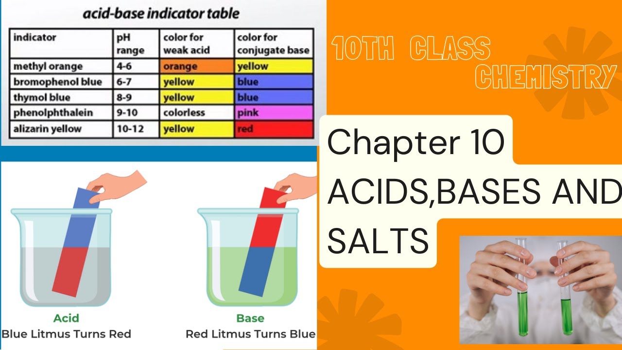 INDICATORS || CLASS 10 CHEMISTRY || CHAPTER 10|| ACIDS BASES AND SALTS ...