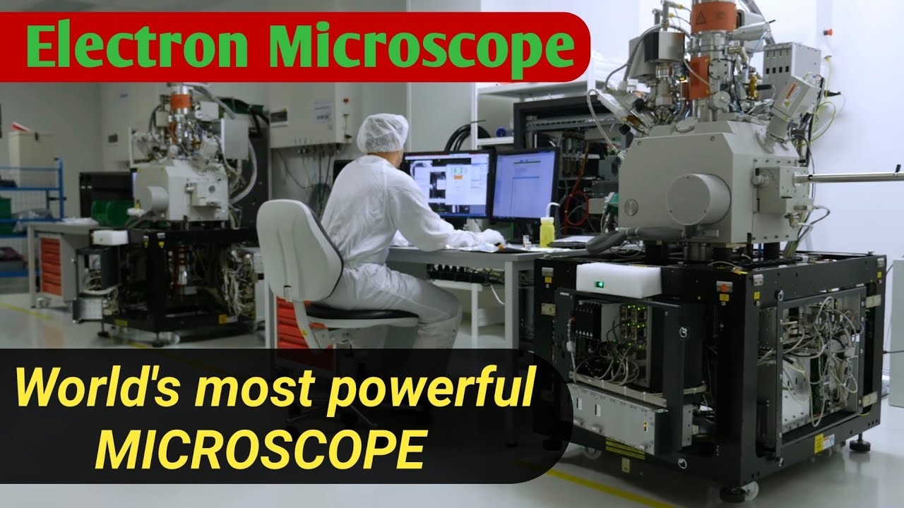 What is Electron Microscope - Explained in Details. - YouTube