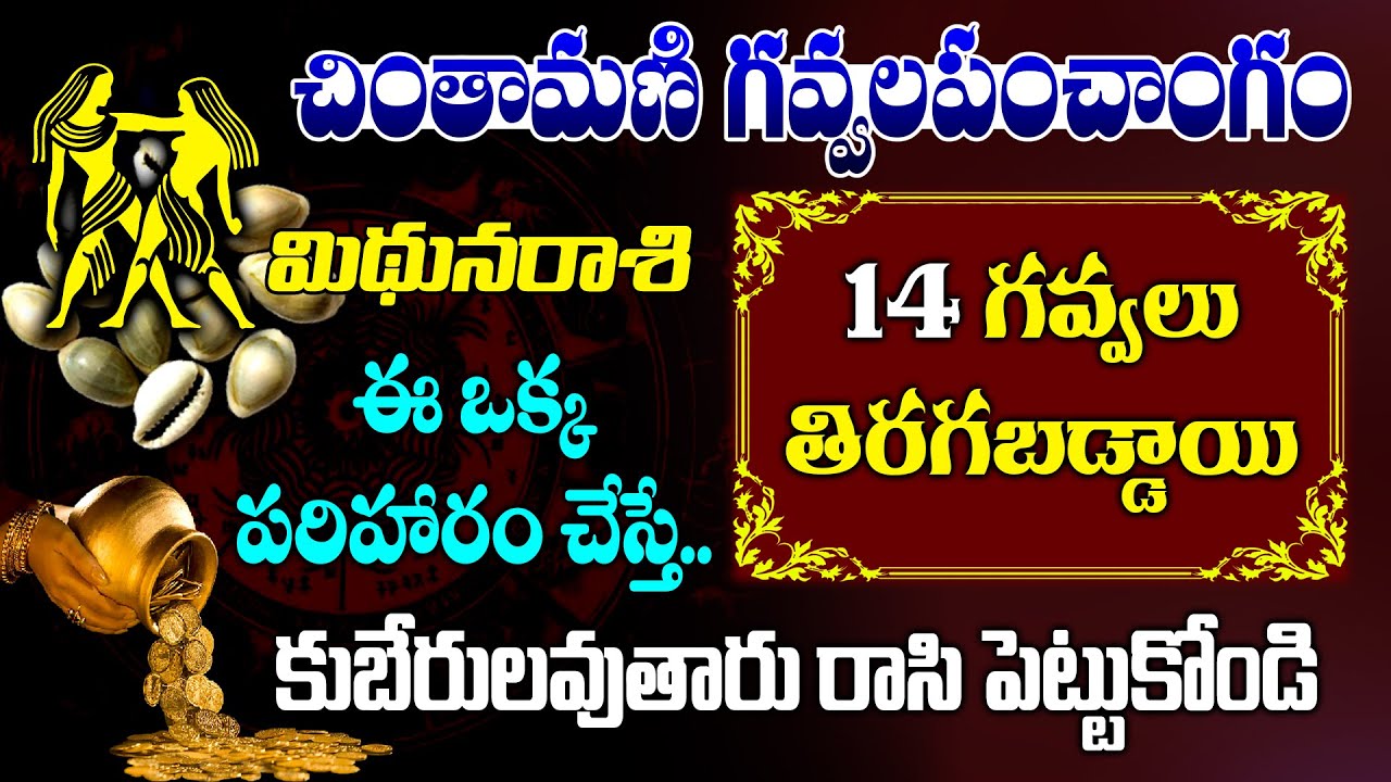 MIDHUNA RASI చింతామణి గవ్వల శాస్త్రం || MAY 2024 మిధునరాశి ఫలాలు ...