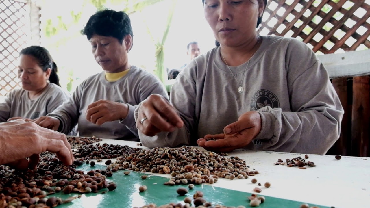 [Slow Food Cebu] Tuburan's Coffee - YouTube