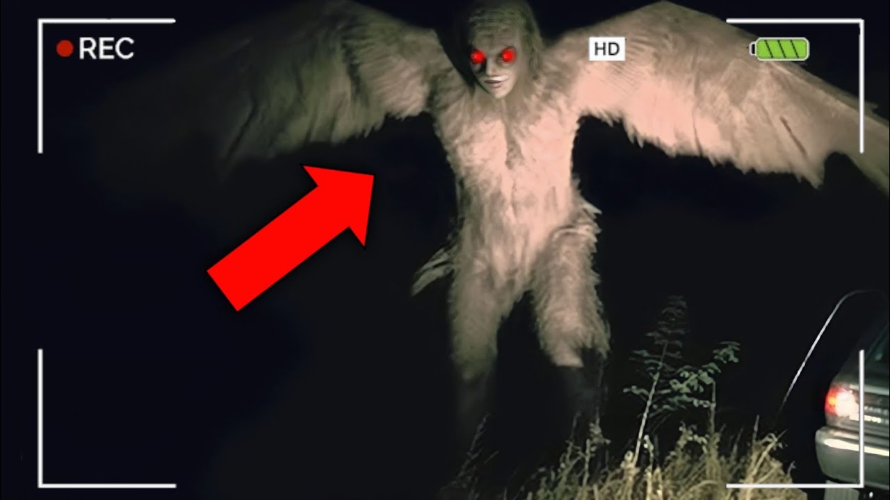 कैमरे मे कैद Mothman || mothman sightings caught on camera || bigfoot ...