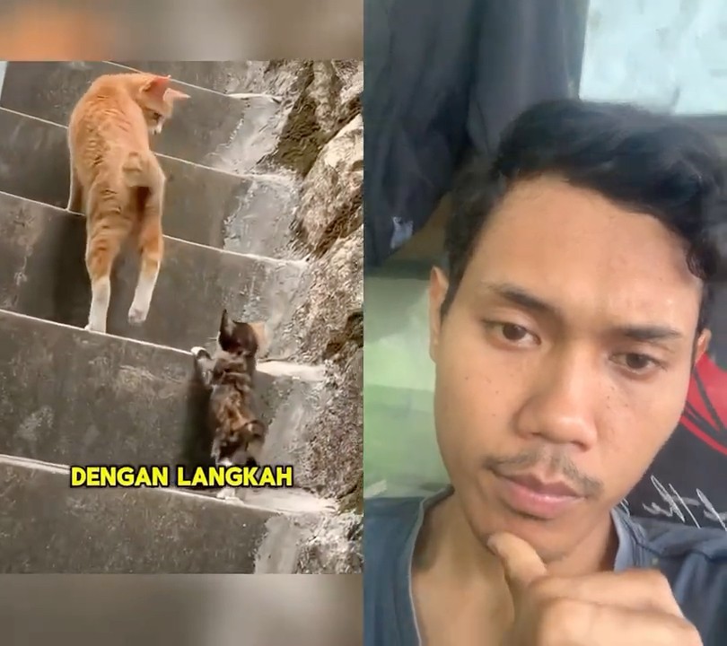 Si Oyen juga penyayang lohh - YouTube