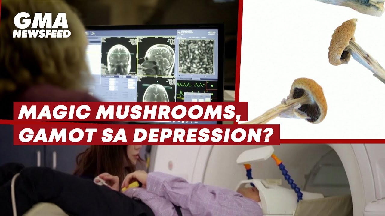 Magic mushrooms, gamot sa depression? | GMA News Feed - YouTube