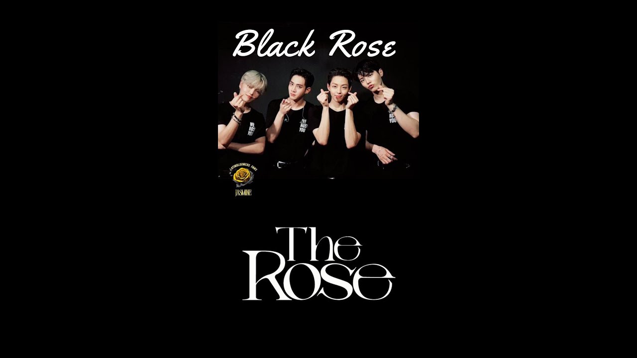 The Rose - Black Rose #therose #woosung #blackroses - YouTube