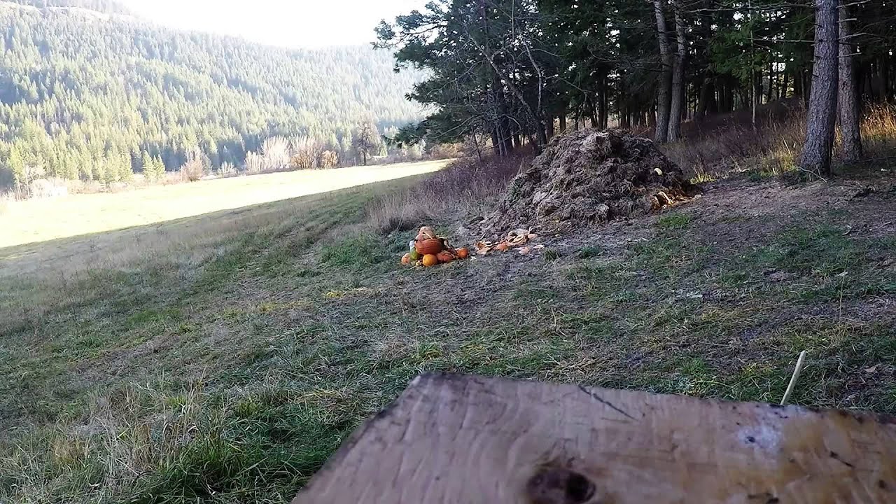 Blowing Up Tannerite Filled Pumpkins Video shot with GoPro Hero4 Silver ...