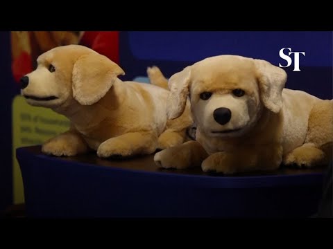 Meet Jennie, the robot dog meant to comfort dementia patients making waves at CES 2025
