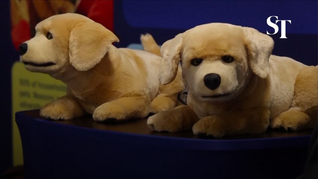 Meet Jennie, the robot dog meant to comfort dementia patients making ...