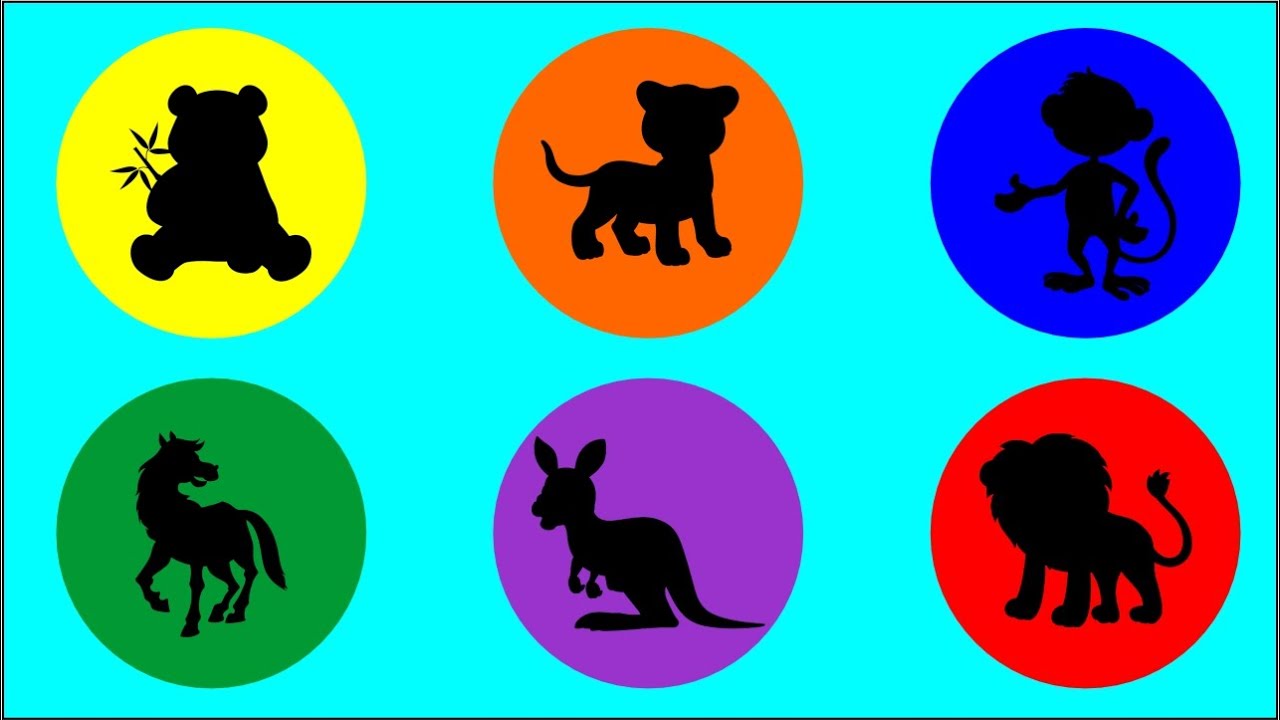 Learn Colors With Animals Tiger | Lion | Monkey | Kangaroo | Panda ...