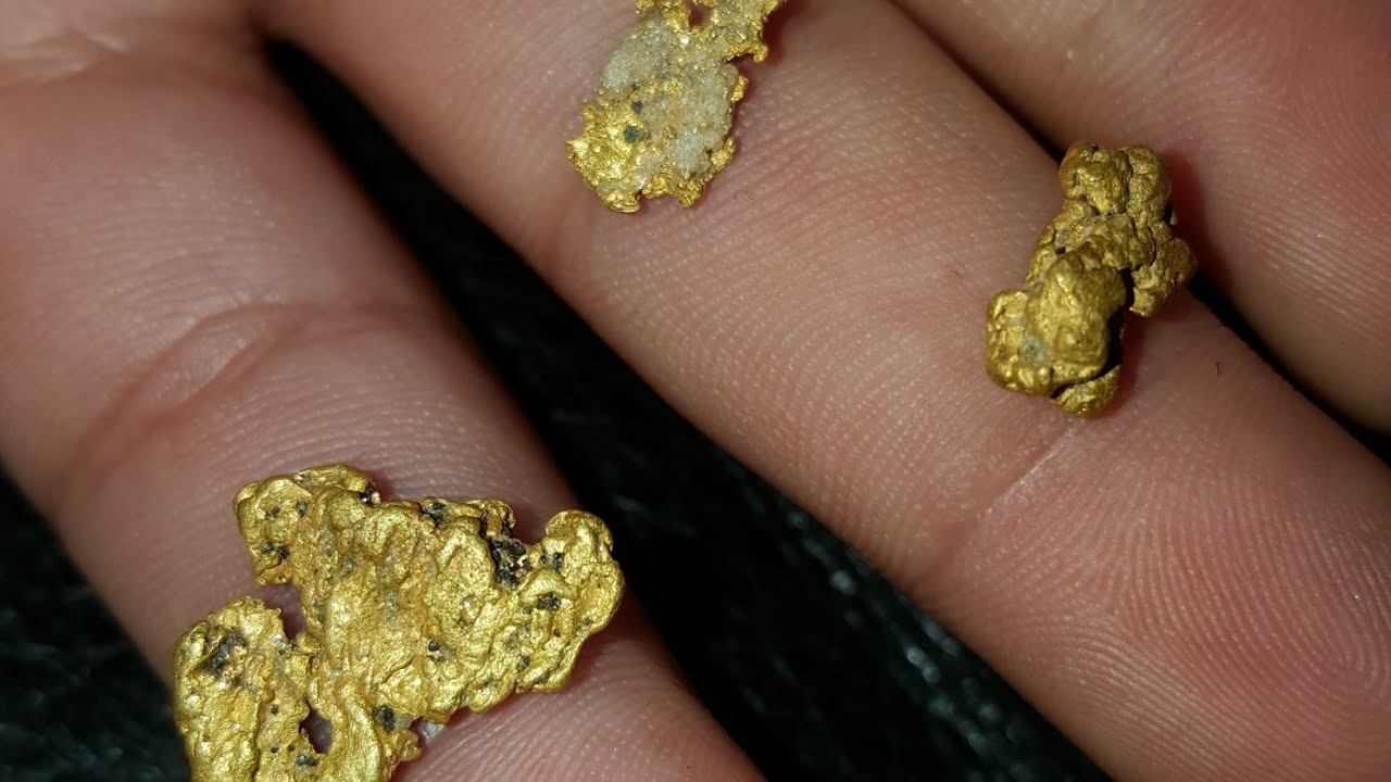 Huge Northern Virginia Gold Nuggets and Pickers - YouTube
