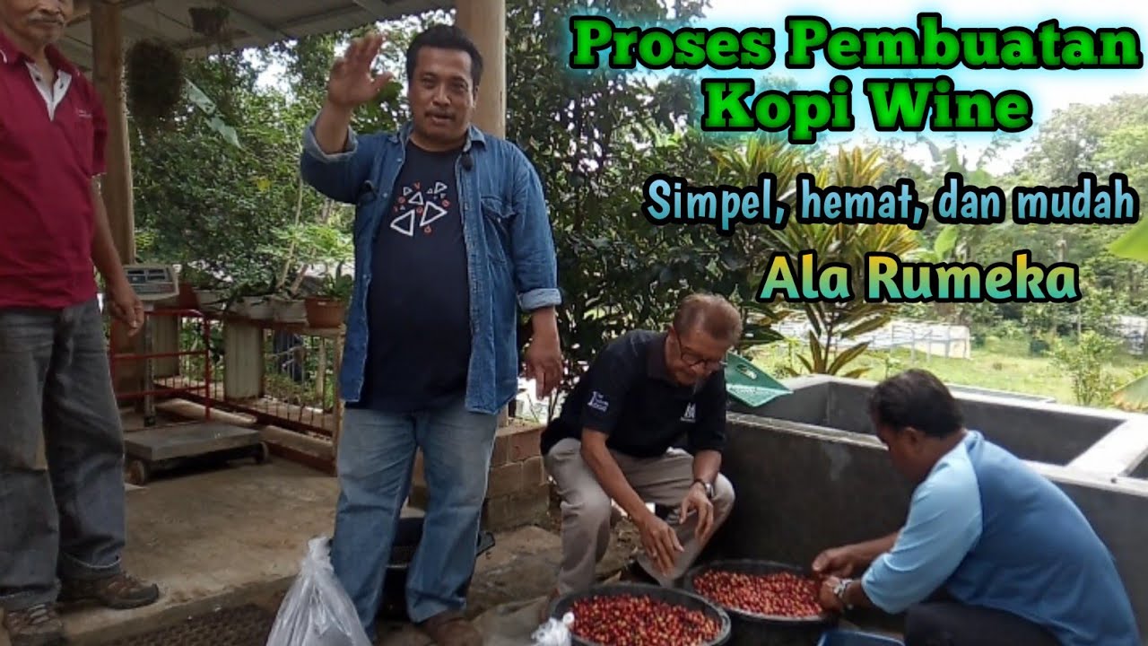 KOPI WINE | Cara Proses yang Hemat dan Praktis - YouTube