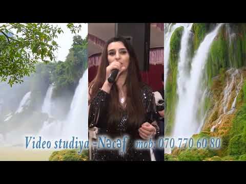Aygun Lerikli  Waglaser toyu