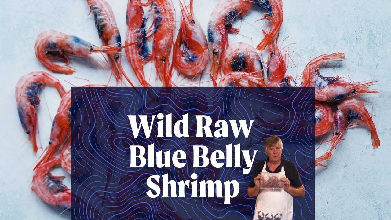 Wild Raw Blue Belly Shrimp - YouTube