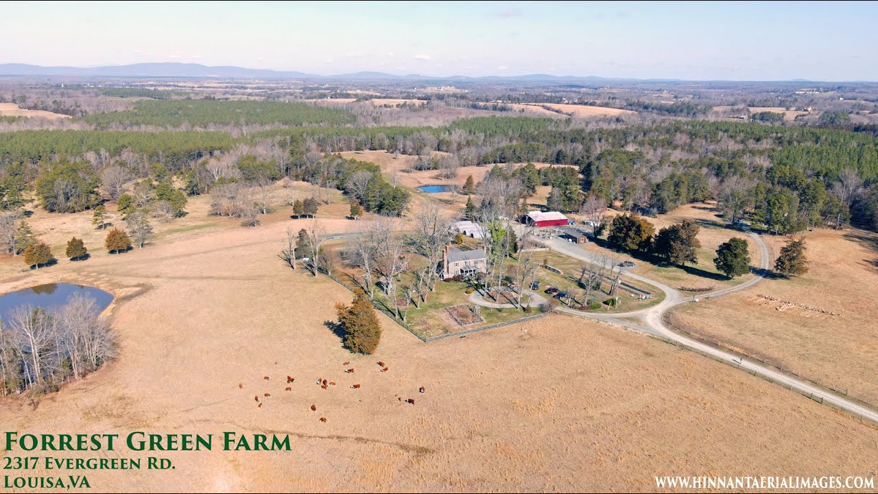 Forrest Green Farm Louisa Virginia Short Promo 4k - YouTube