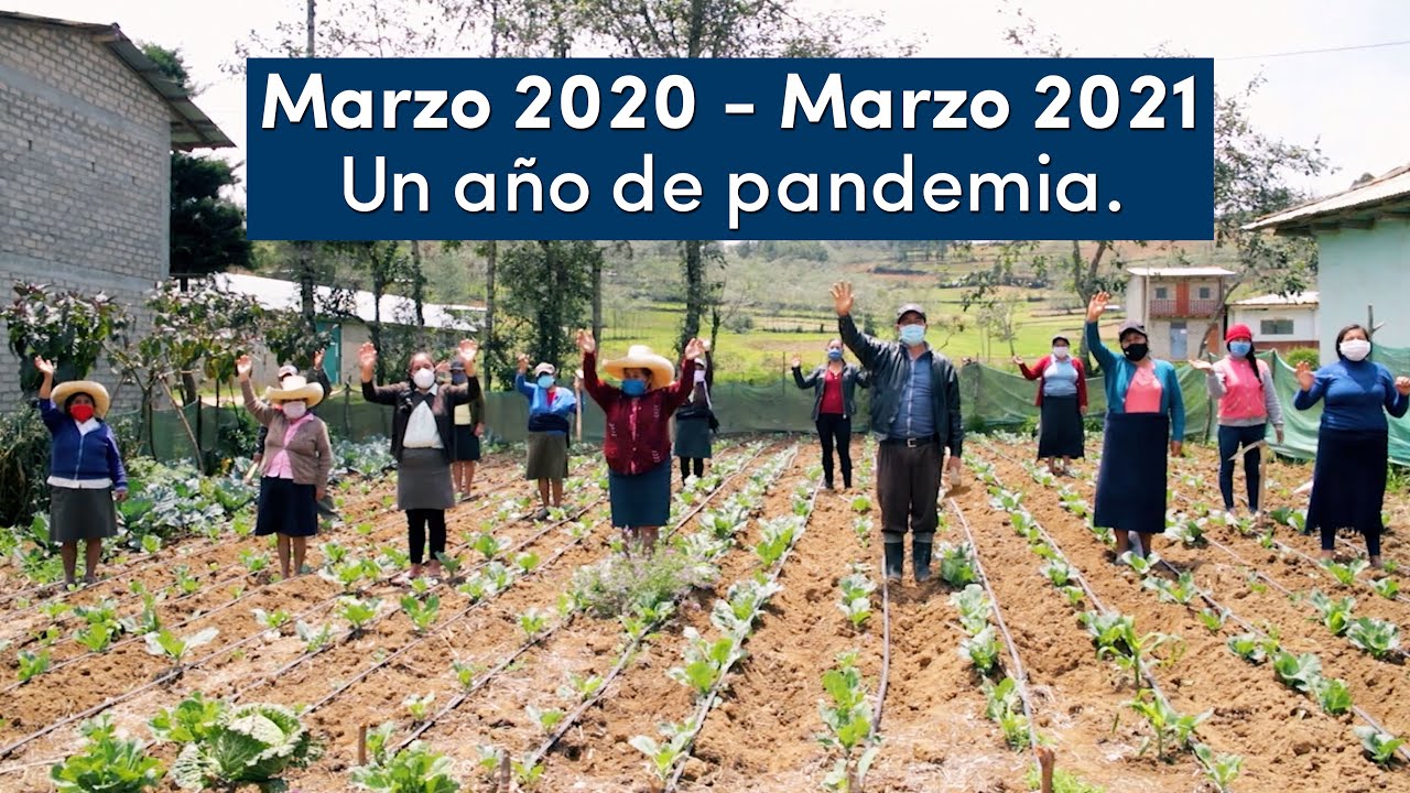 Marzo 2020 - Marzo 2021. Un año de pandemia. - YouTube