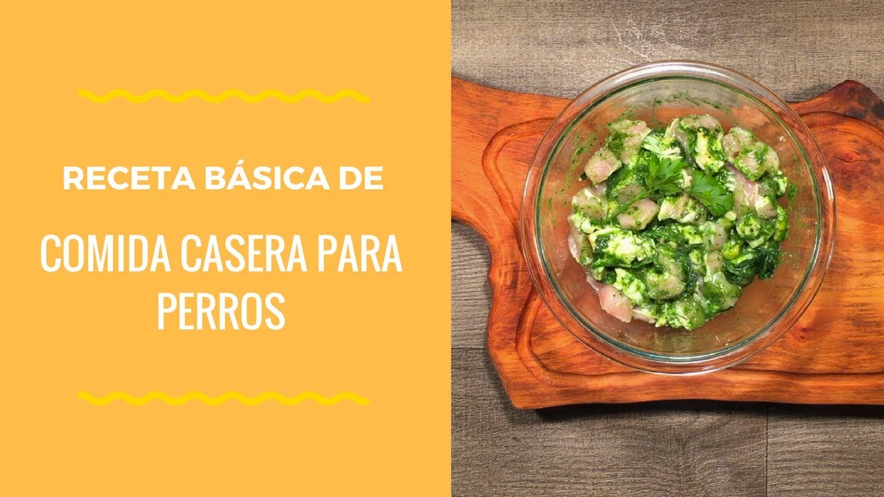 4. Receta básica de comida casera para perros - YouTube