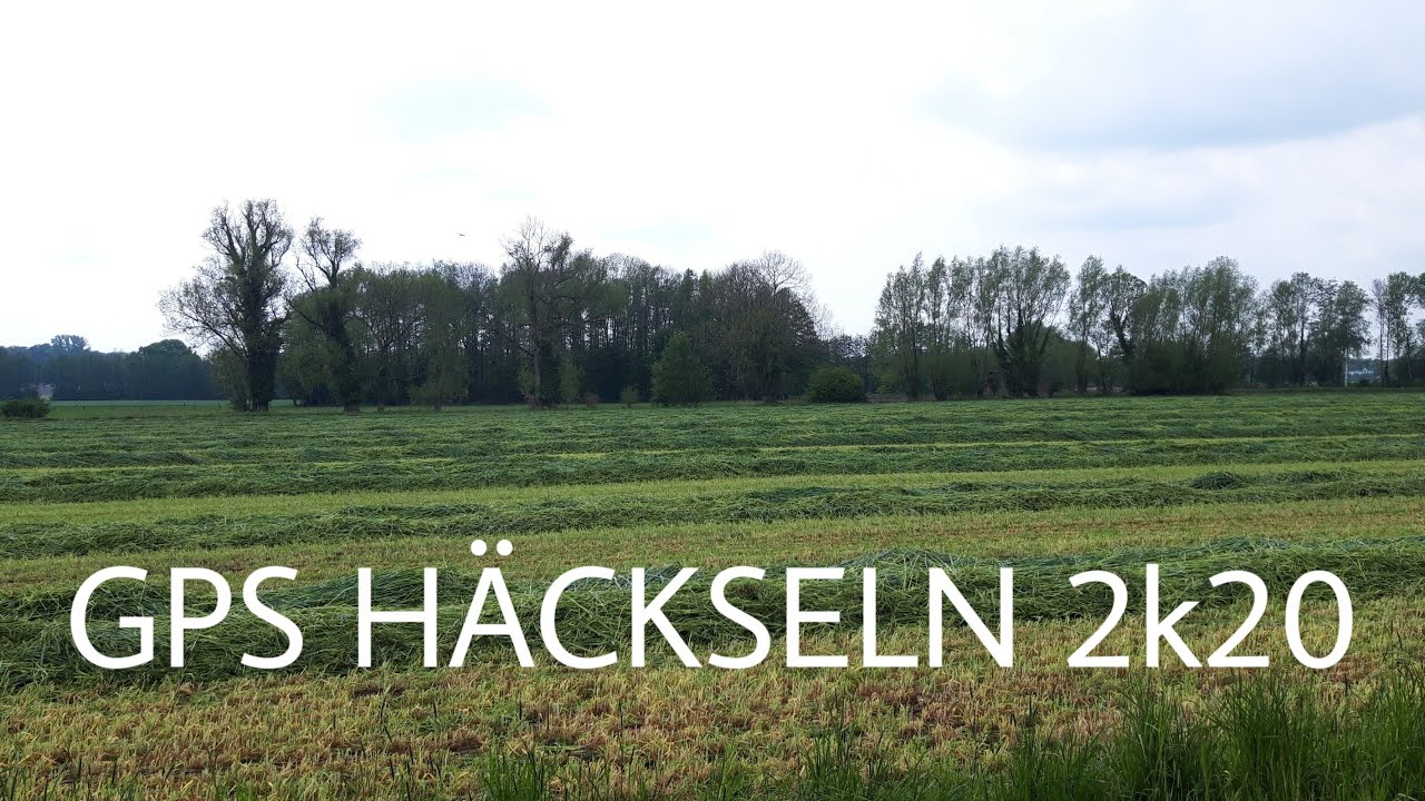 GPS / Roggen HÄCKSELN für die Biogasanlage || LH10 - YouTube