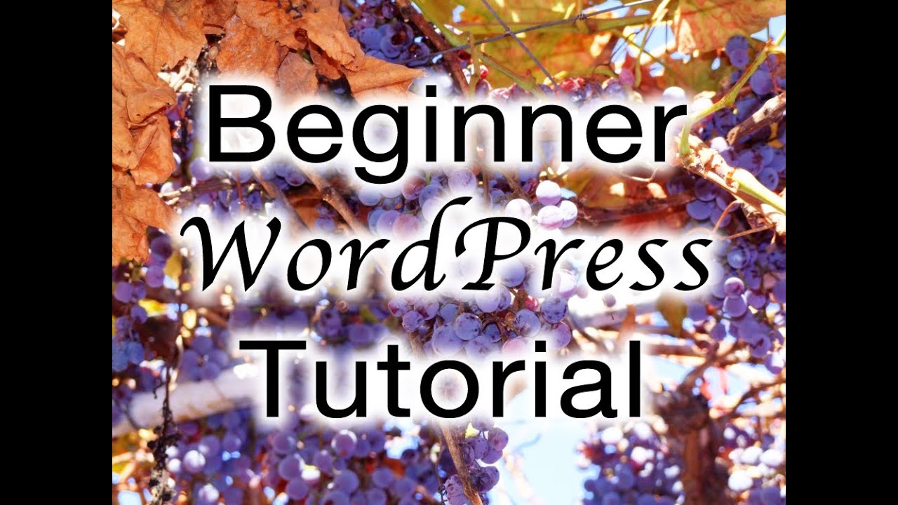 Beginner WordPress Tutorial (Free 90-Minute eCourse) - YouTube