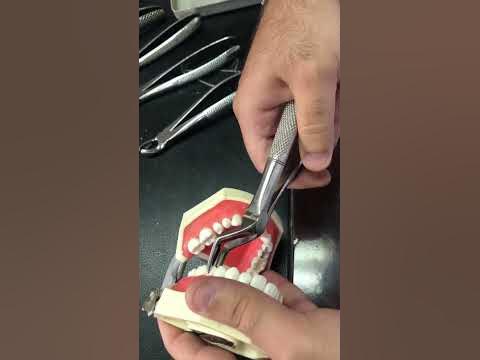 Extraction forcep for the upper retained root - YouTube