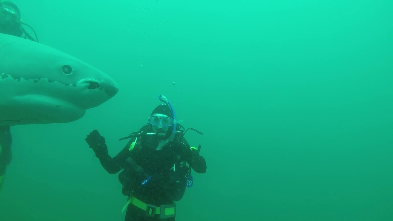 May 28 2017 Morrison Quarry - YouTube