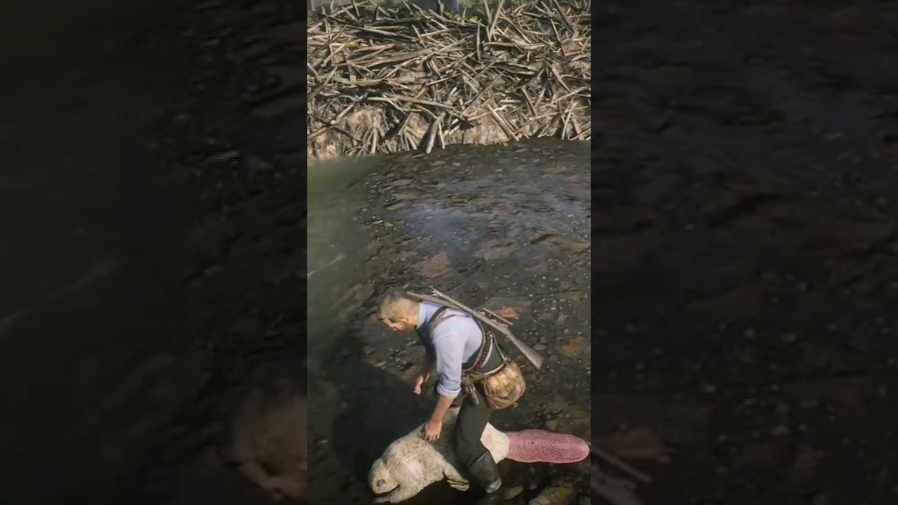Legendary Beaver 🦫#rdr2 love the white and pink beautiful animal! - YouTube