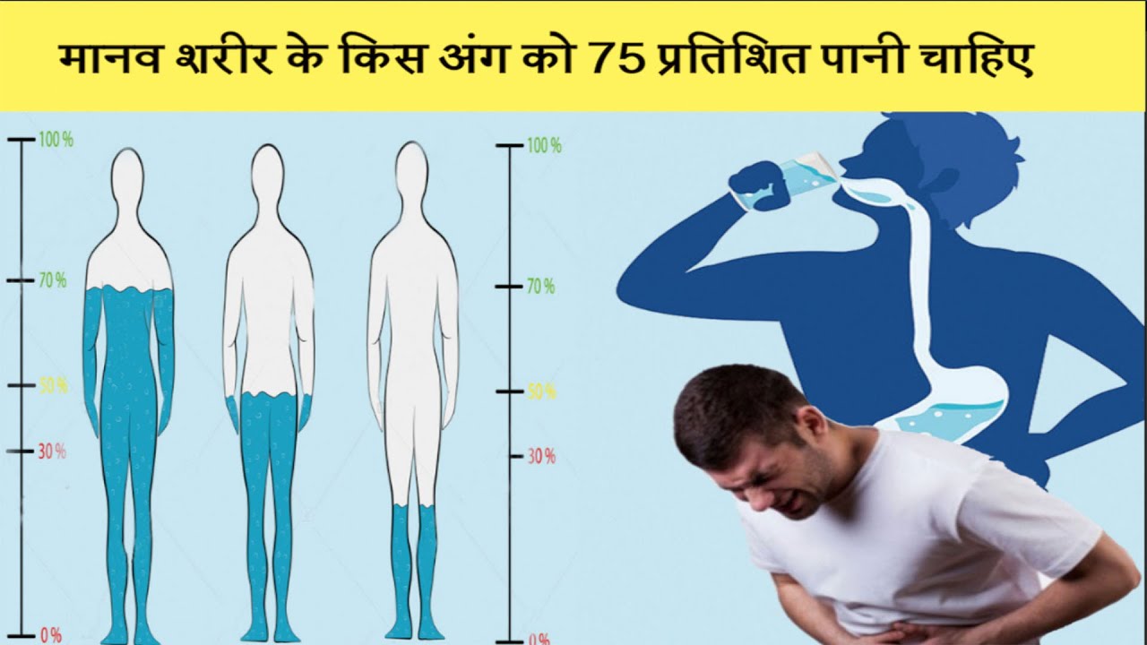 मानव शरीर के इस अंग को सबसे अधिक पानी चाहिए # Water - YouTube