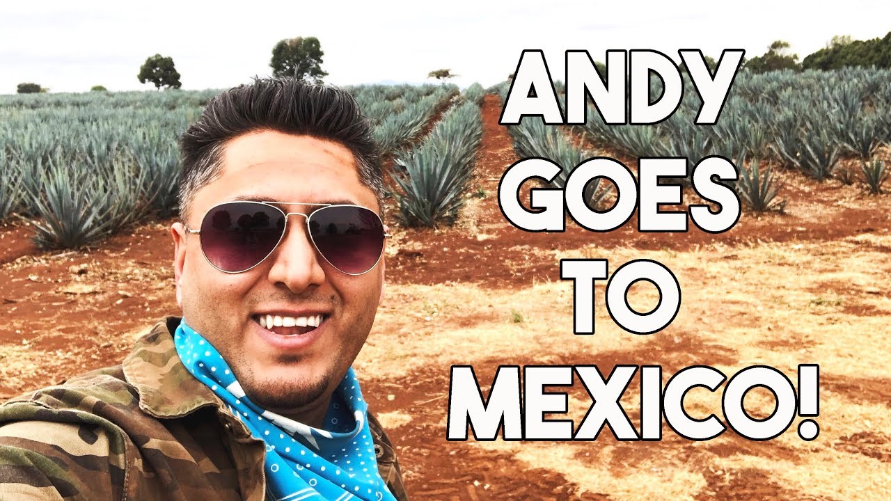 ANDY GOES TO MEXICO! - LifeWithTrina - YouTube