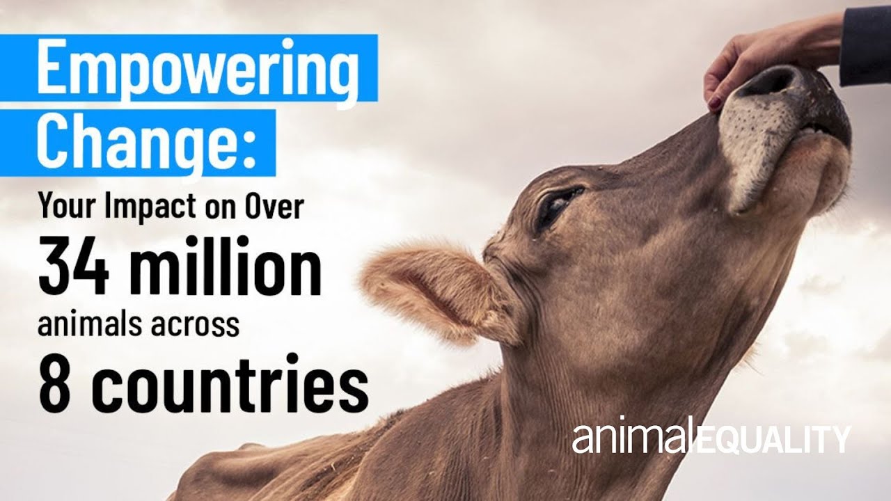 Shaping a Kinder World: Your Impact on Animals in 2023 - YouTube