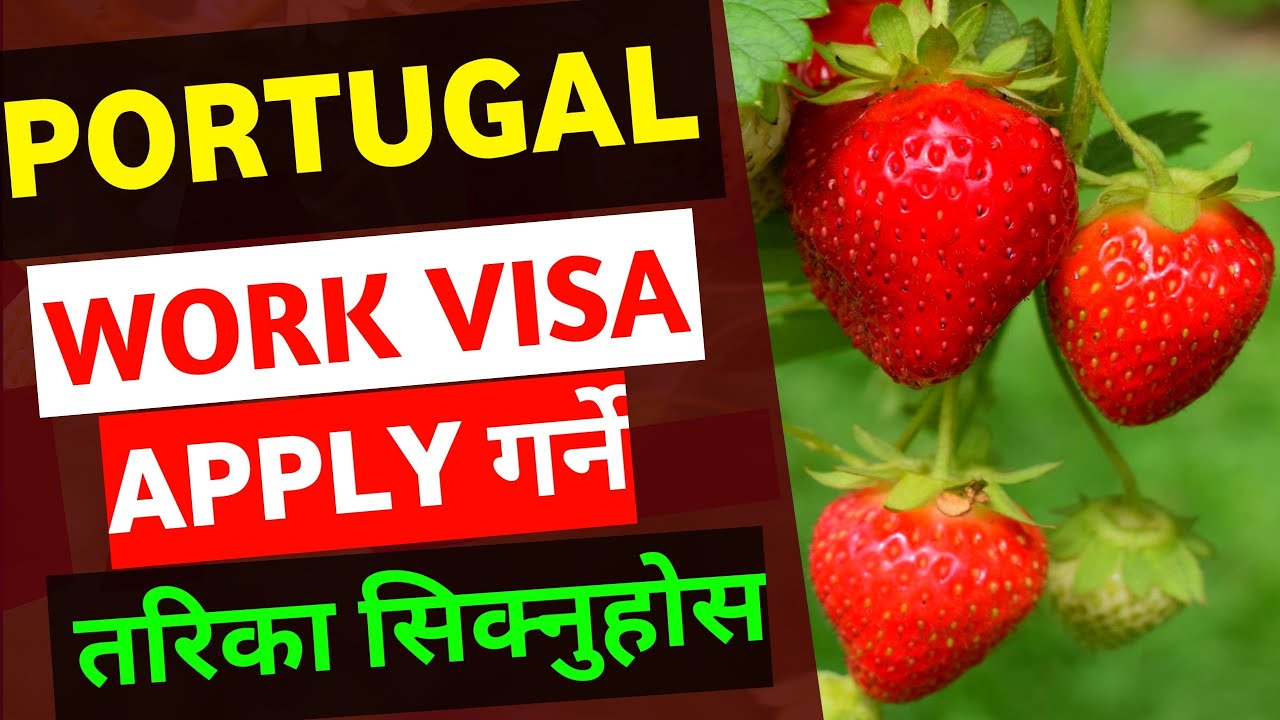 How to apply Portugal work visa|Portugal work permit|Portugal seasonal ...