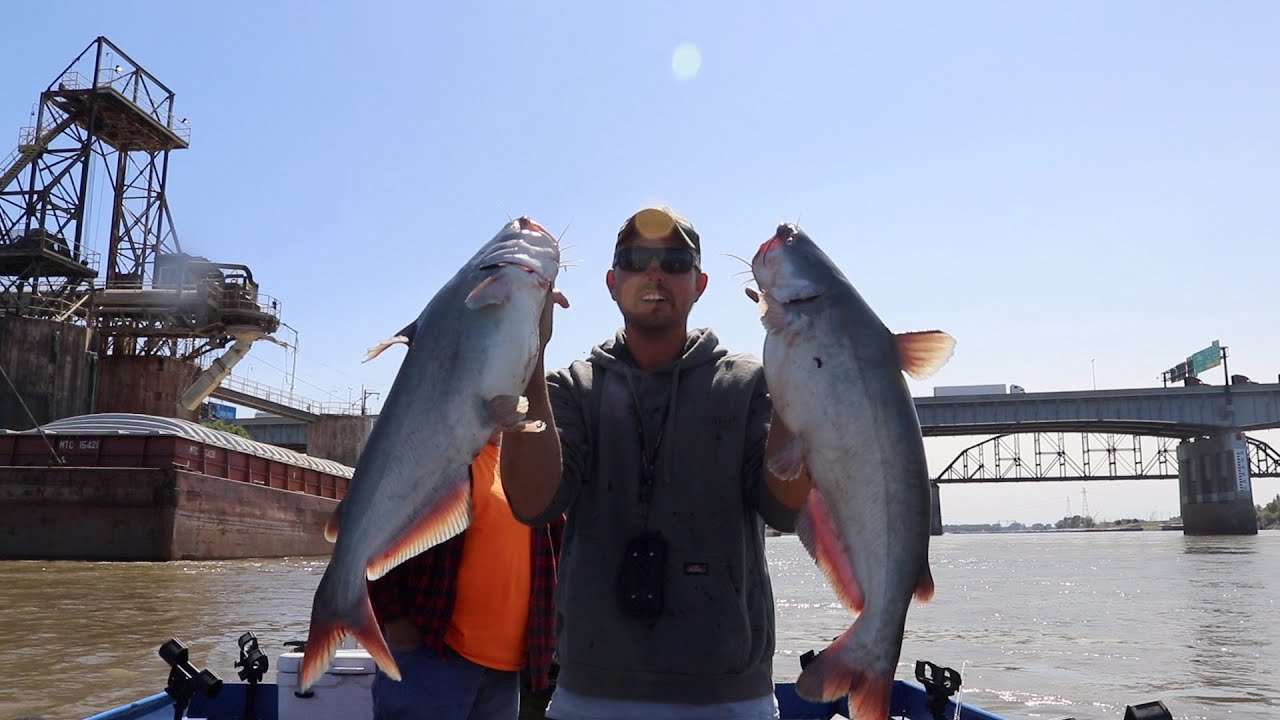 I Took My Dad CATFISHING On the Mississippi River. (Total Chaos) # ...