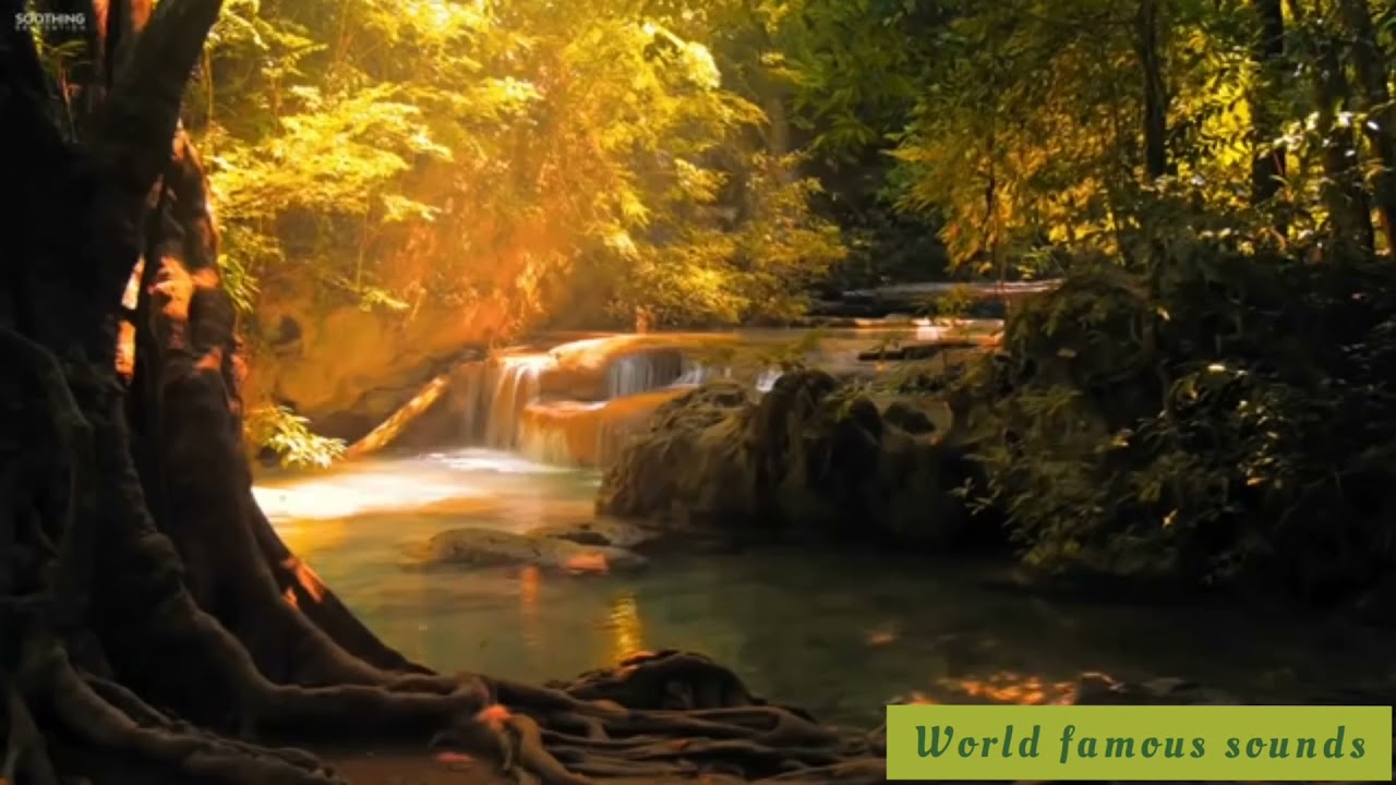 natural soft music with birds singing|relaxing with soft tune| birds ...