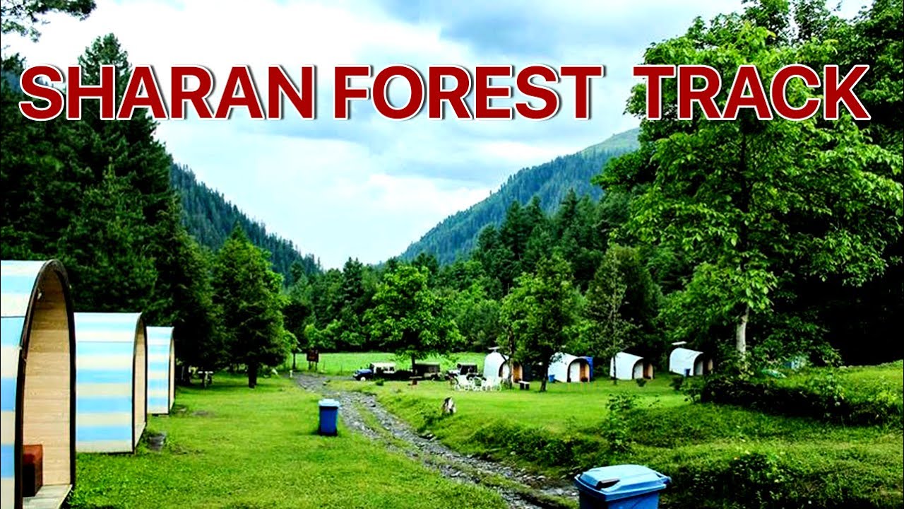 Paras to Sharan Forest Complete Route Video - Sharan Forest Track KPK ...