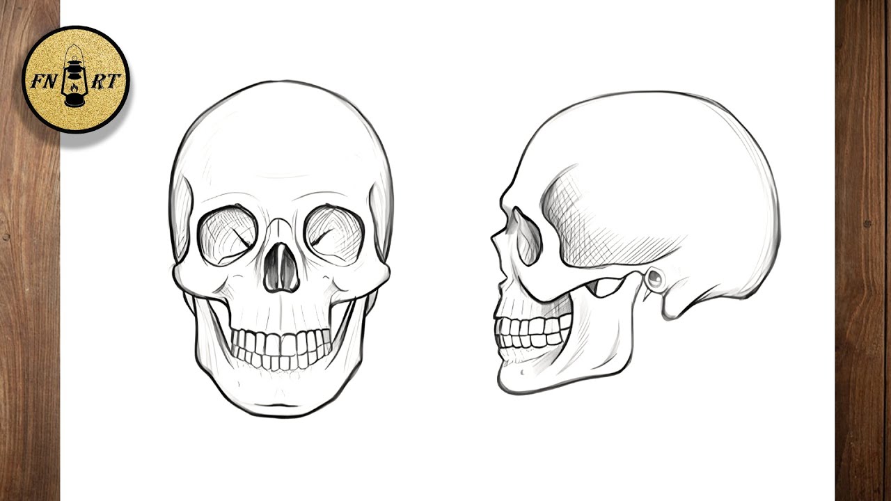 Simple Human Skull Drawing Skull Drawing Images – Browse 1,465,855
