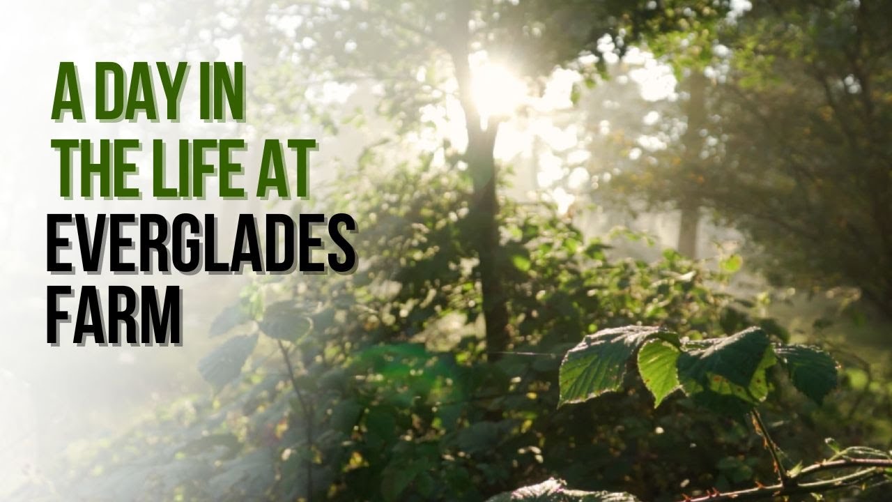 A Day in the Life at Everglades Farm: Everglades Backstage Pass - YouTube