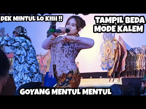 MINTUL WOKO CHANNEL GOYANG MENTUL MENTUL TAMPIL BEDA MODE KALEM