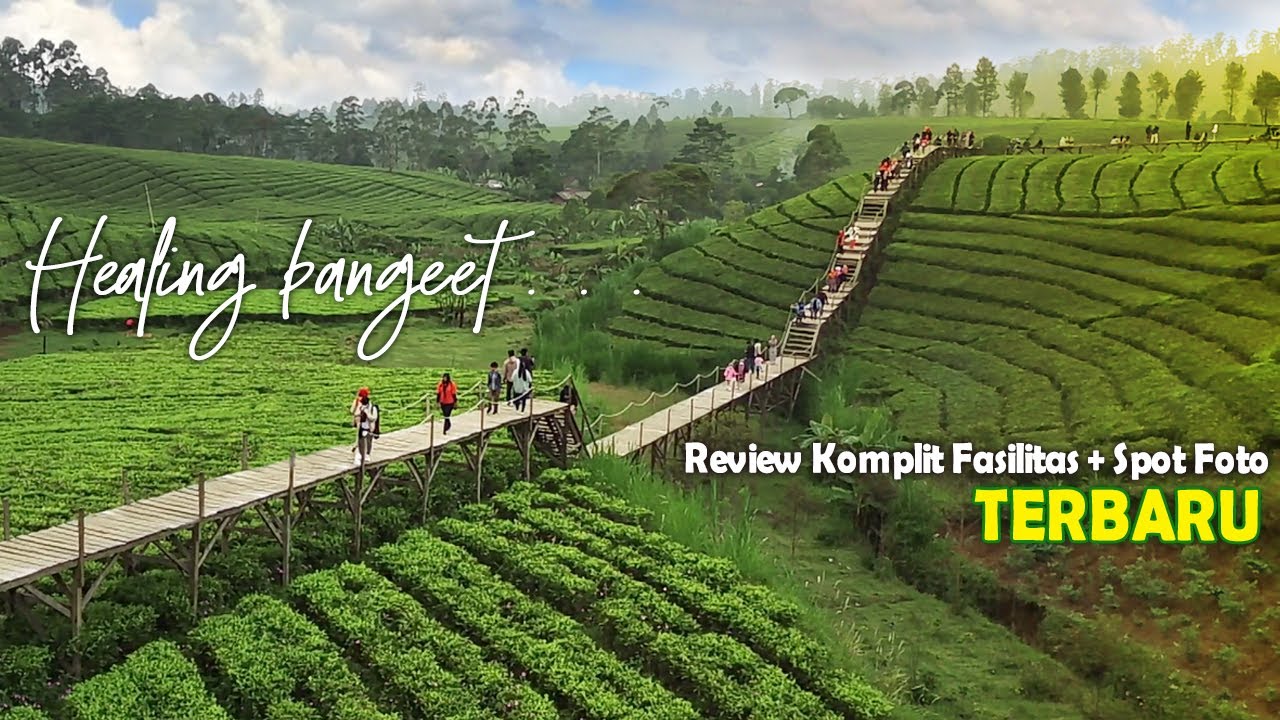 NUANSA RIUNG GUNUNG PANGALENGAN | WISATA ALAM BANDUNG TERBARU - YouTube