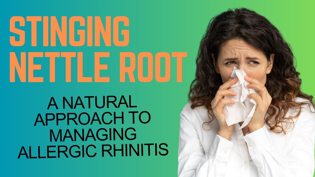 Stinging Nettle Root: A Natural Approach to Managing Allergic Rhinitis ...