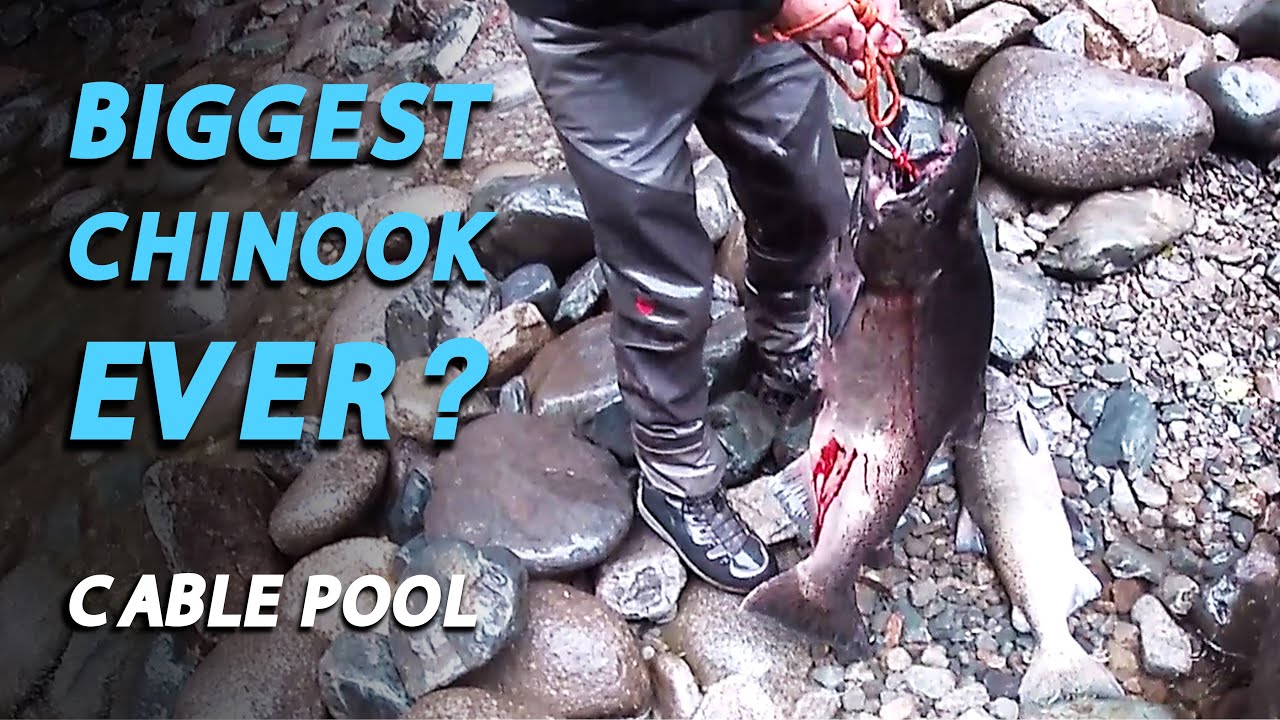 LOSING My First Salmon On The Fly || I MET the KING OF THE KINGS ...