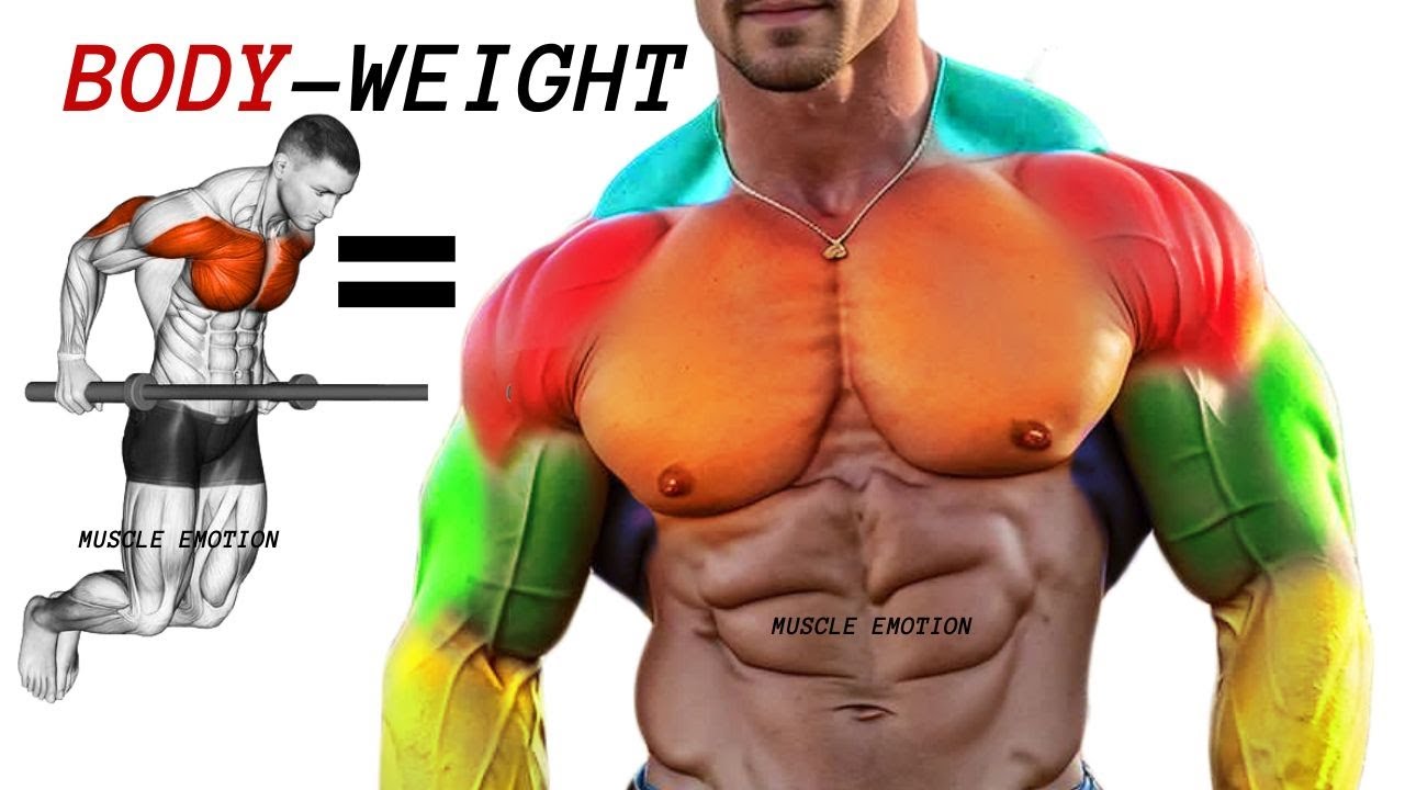 UPPER BODY BODY-WEIGHT EXERCISES (shoulder-forearm - chest - triceps ...