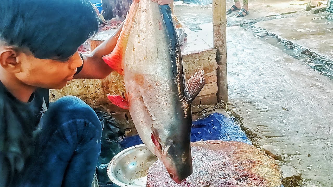 Captivating Big Panga Fish Cutting Skills in Fish Market \ Fire Fish ...
