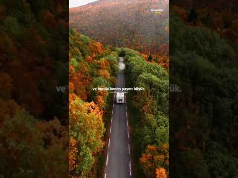 sidden tavsiye geçmişi unutmalısın ki bir geleceğin olsun..#sid #motivasyon #geçmiş #gelecek