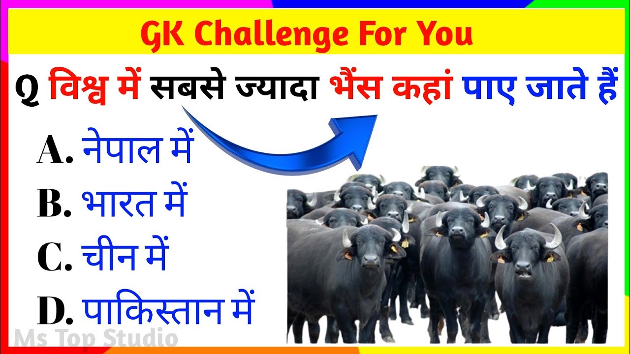 Gk Ka Questions Answer !! Gk In Hindi !! Gk Questions And Answer !! Gk ...
