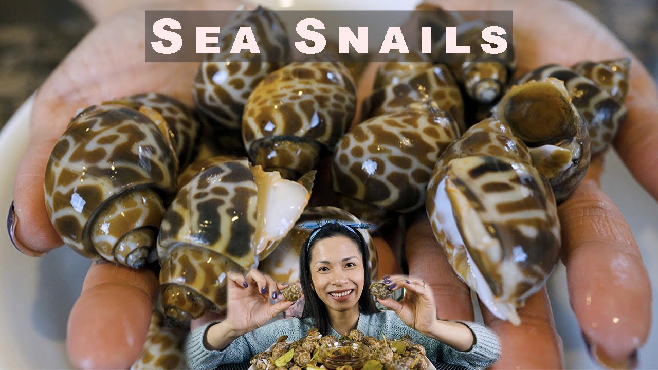 Eating Sea Snails - YouTube