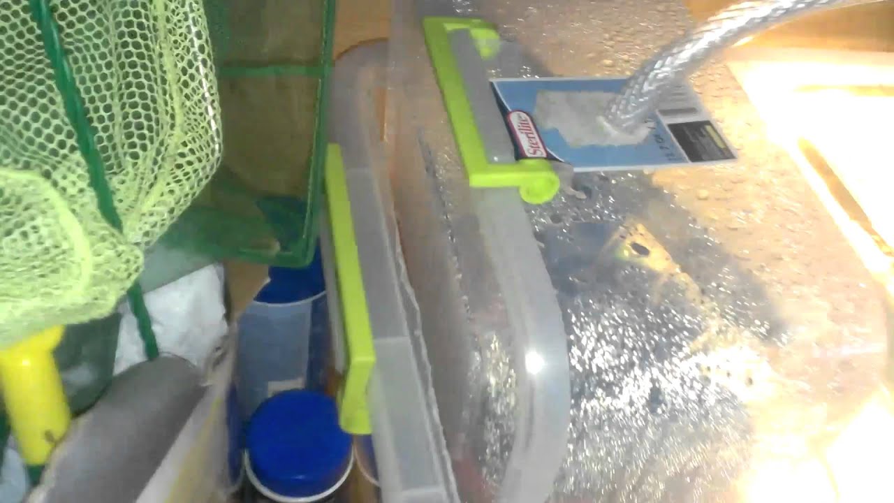 Easy Homemade refugium setup - YouTube