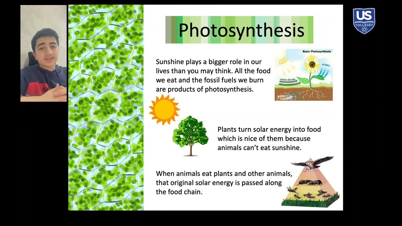 photosynthesis,"Plants' Superpower: How They Make Food from Sunlight ...