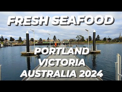 BIG SHARK IN FRESH SEAFOOD SHOP PORTLAND VICTORIA AUSTRALIA 2024 - YouTube